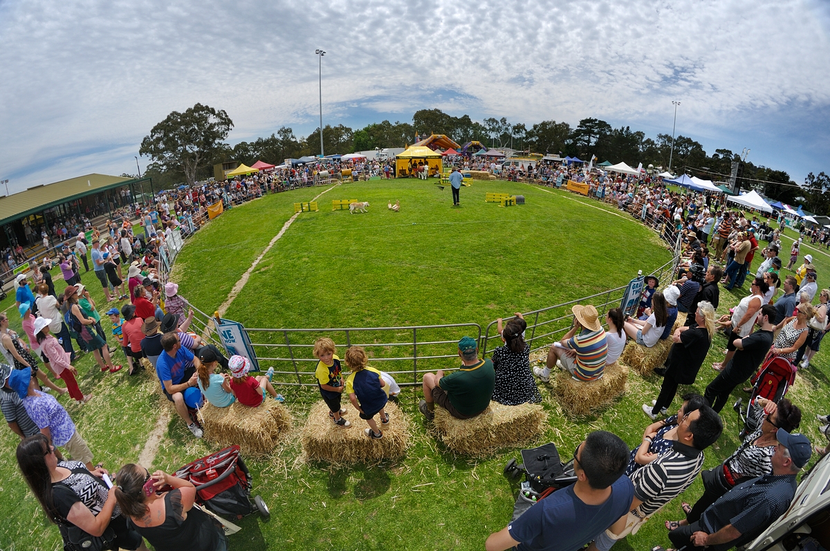 Main Arena | Meadows Country Fair